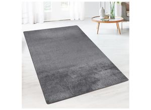 4059382290772 - Floordirekt Teppich Sundae 24465 Anthrazit Rechteckig 1000 mm x 1500 mm 4059382290772 - Floordirekt Teppich Sundae 24465 Anthrazit Rechteckig 1000 mm x 1500 mm
