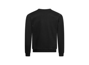 8054216960964 - Sweatshirt Pullover