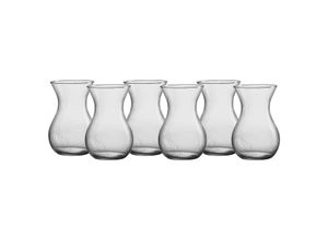 4053532169628 - Vasen Rosalie 18 cm 6er Set