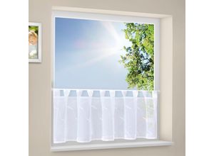 4007863678571 - Scheibengardine Arist Gr 1 weiß B150cm H50cm Polyester Gardinen SB-Schlaufenbistro Arist weiß mit Stickerei 150cm X 50 cm (B x H)