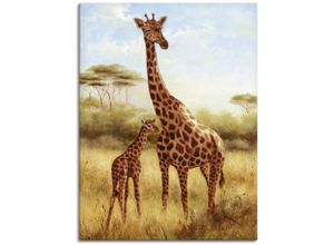 4055327153041 - Wandbild ARTLAND Giraffe Bilder Gr B H 60 cm x 80 cm Leinwandbild Wildtiere 1 St braun Bild Metallbild Metallbilder Bilder als Alubild Leinwandbild Wandaufkleber oder Poster in versch Größen