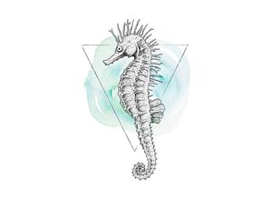 4055065152283 - Bild KOMAR Sea Horse Watercolor bunt (farbe bild(er) bunt) B50cm H70cm Papier Holz Bilder Wandbild zur Dekoration - ohne Rahmen