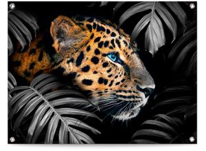 8714597628371 - Poster REINDERS Leopard bunt (farbe bild(er) bunt) B80cm H60cm T01cm Leinwand Bilder
