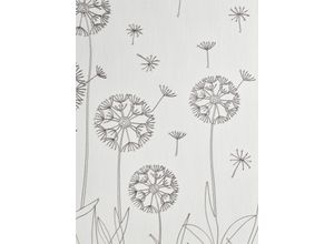 6930325798495 - Gardine HEINE HOME Gr 3 grau (sanftes weiß grau) B130cm H225cm Polyester Gardinen