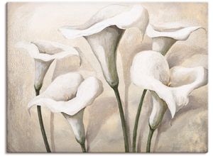 4055327152082 - Wandbild ARTLAND Callas I Bilder Gr B H 80 cm x 60 cm Leinwandbild Blumen 1 St beige (naturfarben) Bild Leinwandbild Kunstdrucke Bilder als Alubild Leinwandbild Wandaufkleber oder Poster in versch Größen