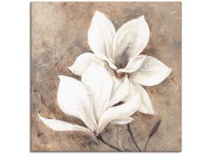 4055327137799 - Wandbild ARTLAND Klassische Magnolien Bilder Gr B H 100 cm x 100 cm Leinwandbild Blumen 1 St beige (naturfarben) Bild Leinwandbild Kunstdrucke Bilder als Alubild Leinwandbild Wandaufkleber oder Poster in versch Größen