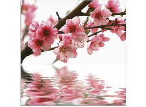 4055327037501 - Glasbild ARTLAND Pfirsichblüten reflektieren im Wasser Bilder Gr B H 20 cm x 20 cm Blumen 1 St pink Glasbilder Bilder in verschiedenen Größen