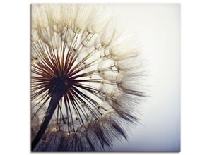 4059745835961 - Wandbild ARTLAND Große Pusteblume Bilder Gr B H 30 cm x 30 cm Leinwandbild Blumen quadratisch 1 St blau Bild Leinwandbild Kunstdrucke Bilder als Alubild Leinwandbild Wandaufkleber oder Poster in versch Größen
