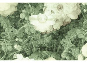 4059432180176 - Fototapete Atelier 47 Art Blossom 2 Tapeten Vlies Wand Schräge Decke Gr B L 4 m x 27 m grün (hellgrün creme weiß) Fototapeten Blumen Tapeten 4059432180176 - Fototapete Atelier 47 Art Blossom 2 Tapeten Vlies Wand Schräge Decke Gr B L 4 m x 27 m grün (hellgrün creme weiß) Fototapeten Blumen Tapeten