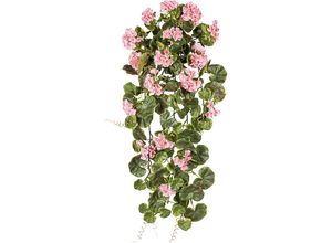 4003529258613 - Geranienhänger Höhe 800 mm UV-beständig Blüten rosa kaiserkraft