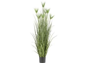 4064118184904 - Künstliche Pflanze Cyperus longus Gras Kunststofftopf Höhe 1800 mm kaiserkraft