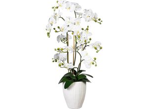 4064118078722 - Orchidee Phalaenopsis real touch in Keramikvase Höhe ca 1100 mm weiß kaiserkraft