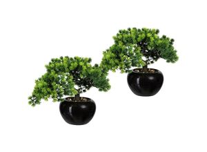 4064118879701 - Bonsai Lärche Behältnis-Ø 150 mm VE 2 Stk Höhe 260 mm kaiserkraft