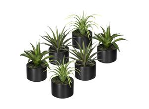 4064118068587 - Aloe Agave Tillandsie im Keramiktopf VE 6 Stk Höhe 250 mm 3-fach sortiert kaiserkraft