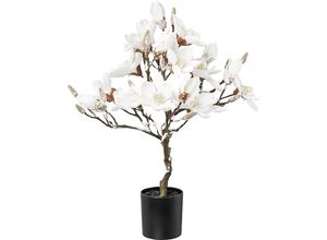 4064118001966 - Magnolienbaum beschneit im Kunststofftopf weiß Gesamthöhe 580 mm kaiserkraft