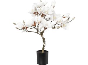 4064118001973 - LED-Magnolienbaum beschneit im Kunststofftopf weiß Höhe 580 mm mit 20 LEDs kaiserkraft