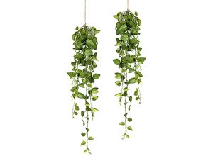 4064118836995 - Kaiserkraft - 570314 Philodendron-Hängezopf 2er-Set Länge