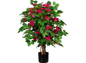 4064118075851 - Bougainvillea UV-beständig Höhe ca 1000 mm Blüten cerise kaiserkraft