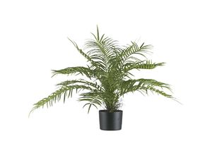 4064118192831 - Areca Palmbusch Kunststofftopf Höhe 700 mm kaiserkraft