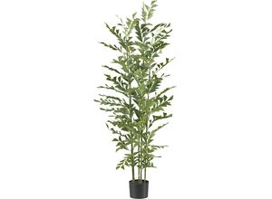 4064118192817 - Künstliche Pflanze Caryota mitis Palme Kunststofftopf Höhe 1500 mm kaiserkraft