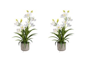 4064118274551 - Künstliche Orchidee Cymbidium VE 2 Stk Höhe 580 mm kaiserkraft