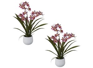 4064118274711 - Künstliche Pflanze Cambria-Orchidee VE 2 Stk Höhe 500 mm kaiserkraft