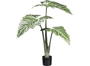 4064118110323 - Künstliche Pflanze Colocasia White Lava Kunststofftopf Höhe 1300 mm kaiserkraft