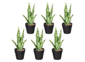 4064118889878 - Mini-Sanseveria VE 6 Stk Höhe ca 270 mm grüngrau im Kunststofftopf kaiserkraft