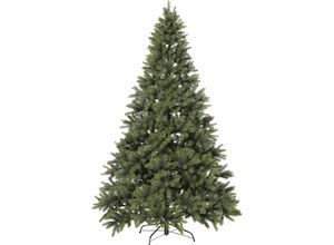 4003529807415 - Tannenbaum 1829 Spitzen Höhe 210 cm kaiserkraft