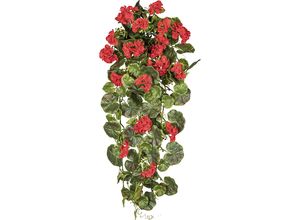 4003529258903 - Geranienhänger Höhe 800 mm UV-beständig Blüten rot kaiserkraft