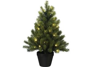 4003529027912 - Tannenbaum im Topf mit LEDs mit 50 Lichtern Batterien Höhe 60 cm kaiserkraft