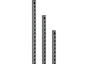 7333008004330 - Rastersäule für höhenverstellbaren Arbeitstisch Höhe 1000 mm kaiserkraft
