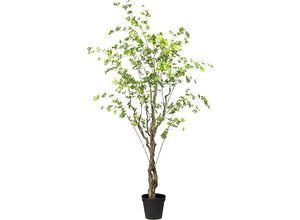 4003529912669 - Louisiana-Baum im Kunststofftopf mit PU-Stamm Höhe 2400 mm kaiserkraft