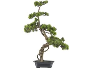 4064118188582 - Künstliche Pflanze Bonsai Kiefer Kunststoffschale Höhe 700 mm kaiserkraft