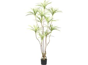 4064118998730 - Dracaena Kunststofftopf Höhe 1800 mm kaiserkraft