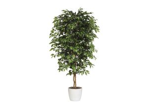 4003529932742 - Ficus benjamina Naturstamm mit Keramiktopf Höhe 2100 mm kaiserkraft