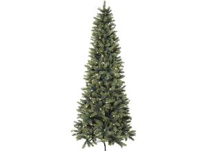 4003529217863 - LED-Tannenbaum schlank inklusive Ständer Höhe 1800 mm mit 250 LEDs kaiserkraft