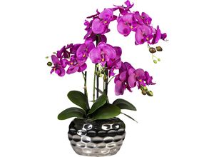 4003529767375 - Phalaenopsis in Ovalvase Höhe 550 mm Blüten violett kaiserkraft