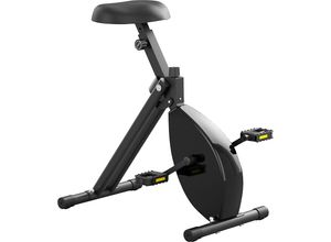 7440807027023 - Deskbike SMALL schwarz kaiserkraft