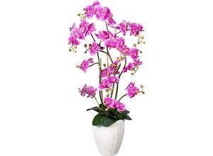 4064118078739 - Orchidee Phalaenopsis real touch in Keramikvase Höhe ca 1100 mm lilapink kaiserkraft
