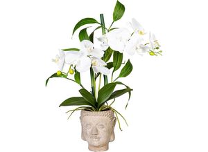 4064118076551 - Orchideen-Bambus Arrangement im Zementtopf Buddha weiß real touch Höhe ca 600 mm kaiserkraft