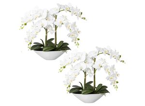 4064118889328 - Phalaenopsis real touch Höhe 530 mm VE 2 Stk Keramikschale weiß kaiserkraft
