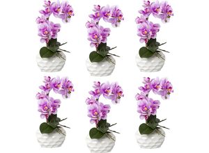 4064118889762 - Phalaenopsis real touch Höhe 330 mm VE 6 Stk Keramiktopf orchidee kaiserkraft