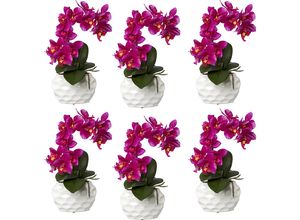 4064118889755 - Phalaenopsis real touch Höhe 330 mm VE 6 Stk Keramiktopf lila kaiserkraft