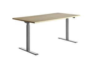 4014296873756 - Sitz-Steh-Schreibtisch E-Table TTS16080GA elektrisch höhenverstellbar 70-120cm (H) 160cmx80cm (BxT) rechteckig ahorn   Licht