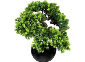 4003529915035 - Bonsai Lärche mit Kies im Keramiktopf schwarz Höhe 370 mm Topf 150 x 90 mm kaiserkraft