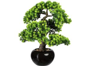 4003529915042 - Bonsai Lärche mit Kies im Keramiktopf schwarz Höhe 480 mm Topf 180 x 110 mm kaiserkraft