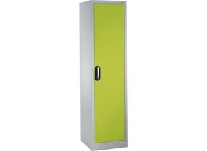 4064615184865 - ACURADO Universalschrank BxT 500 x 500 mm lichtgrau   viridingrün C+P