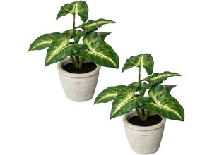 4064118895862 - Künstliche Zimmerpflanze CREATIV GREEN Blattpflanze Syngonium Kunstpflanzen Gr B H 15 cm x 20 cm 2 St grün Künstliche Zimmerpflanzen im Zementtopf 2er Set