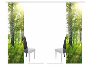 4056751137119 - Schiebegardine HOME WOHNIDEEN GALWAY Gardinen grün Fertiggardine Flächenvorhang Gardine Plissee Sonnenschutz-Plissee Übergardine Vorhang nach Räumen HxB 245x60 inkl Befestigungszubehör 4056751137119 - Schiebegardine HOME WOHNIDEEN GALWAY Gardinen grün Fertiggardine Flächenvorhang Gardine Plissee Sonnenschutz-Plissee Übergardine Vorhang nach Räumen HxB 245x60 inkl Befestigungszubehör